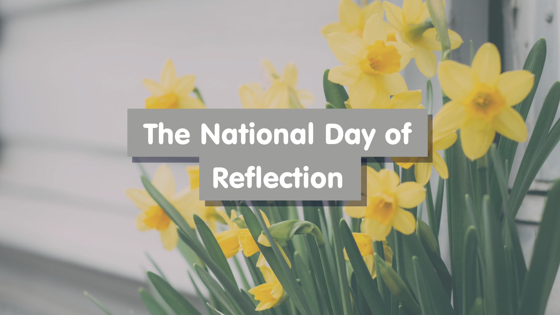 We mark The National Day Of Reflection - Community Integrated Care
